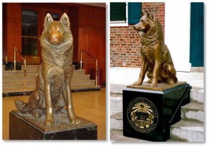 King Husky - The Next Phase Blog