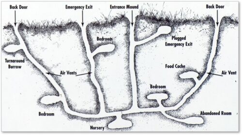 History - The Next Phase Blog